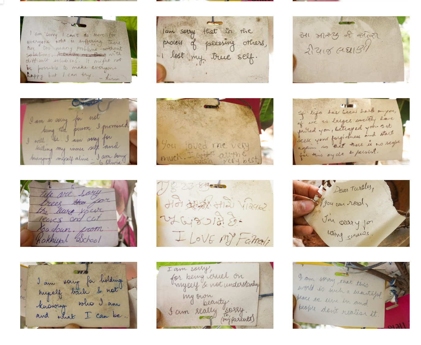 Sorry Tree - Conflictorium